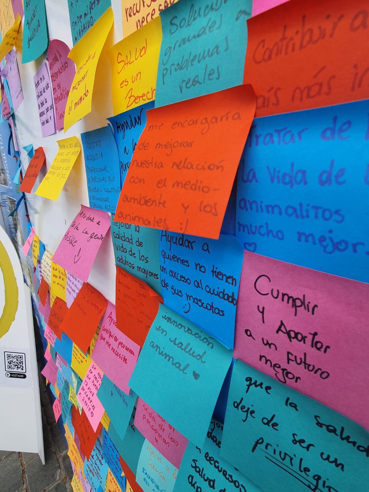 Education Citizenship and Social Justice - Dirección de Enseñanza e ...